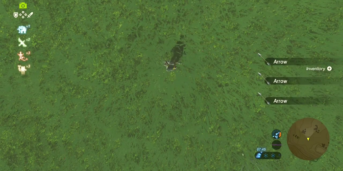 Glitch: Arrow Farming [The Legend of Zelda: Breath of the Wild ...