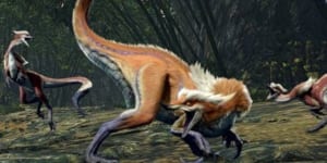 Monster Hunter Rise - Walkthrough and Guide – SAMURAI GAMERS