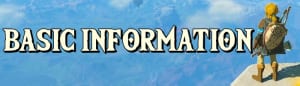 The Legend of Zelda: Tears of the Kingdom - Character Profiles ...