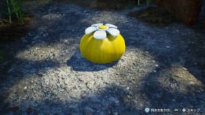 Pikmin 4 - All Onions List and Locations - SAMURAI GAMERS