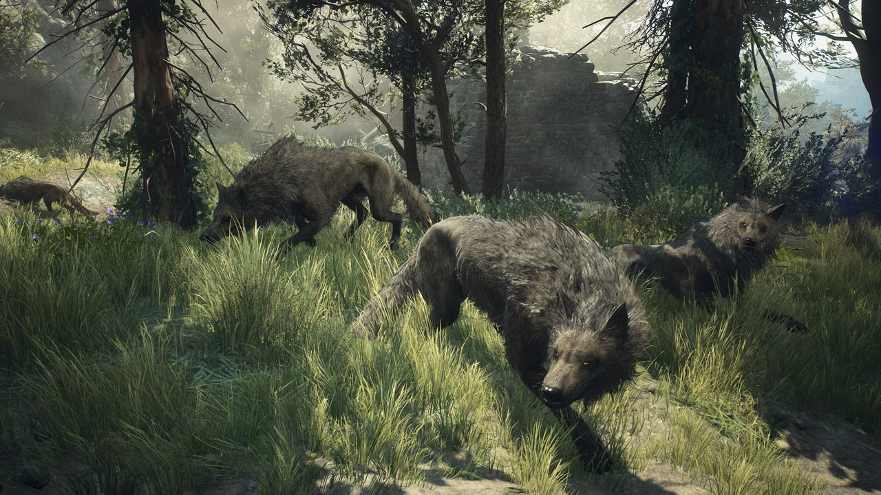 Dragon's Dogma 2 - Wolf Enemy Guide: Location and Item Drops - SAMURAI ...