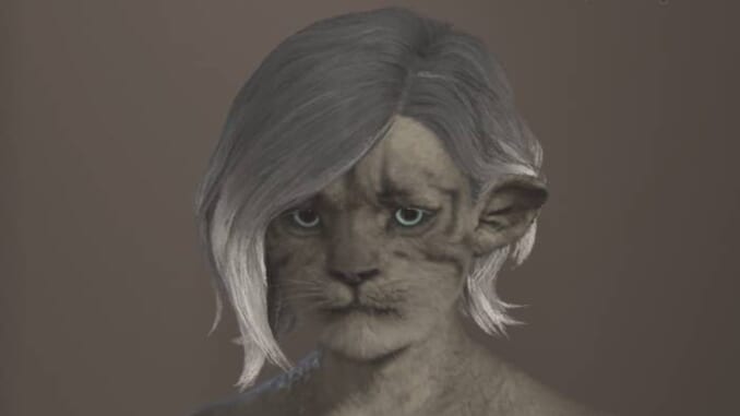 Dragon's Dogma 2 - How to Make a Beautiful Female Beastren in Character ...