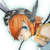 Metaphor: ReFantazio - Walkthrough and Guide – SAMURAI GAMERS